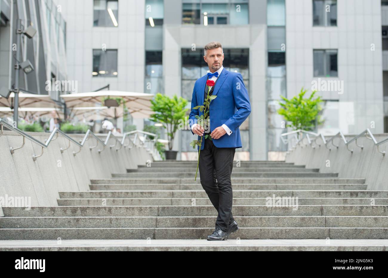elegant man in tux. man wearing tux bowtie outdoor. handsome tux man ...