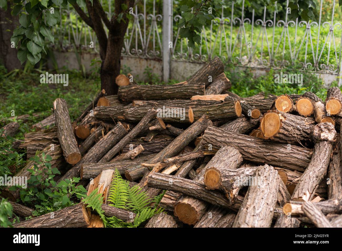 Cut tree logs stacked together outdoors against green bushes, packed ...