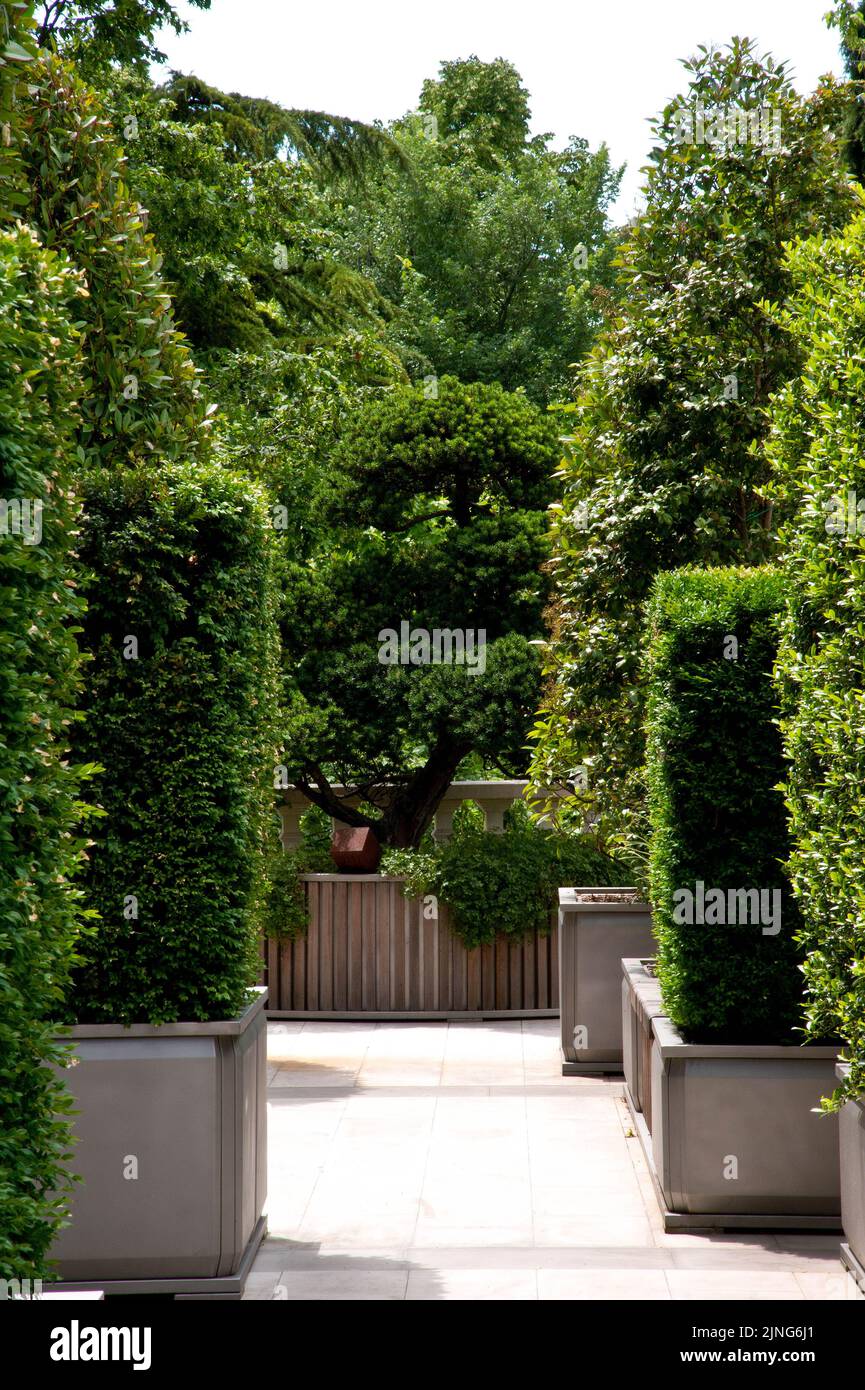 Terrace with plants and bushes Stock Photo - Alamy