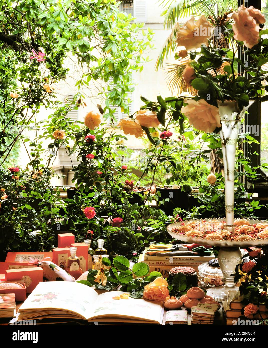 Flowers at home, all about roses Stock Photo - Alamy