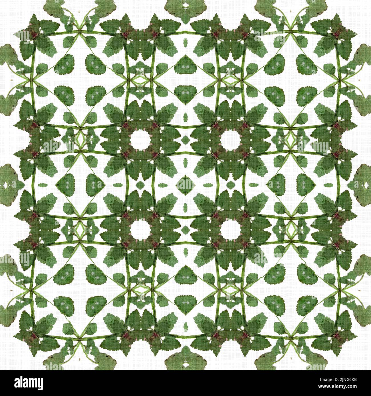 Foliage kaleidoscope seamless texture pattern. Trendy optic fresh ...