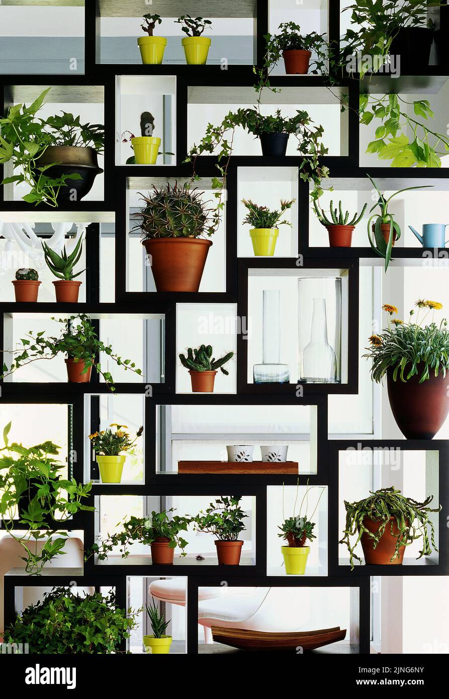 Flowers at home, flowers Design Stock Photo - Alamy