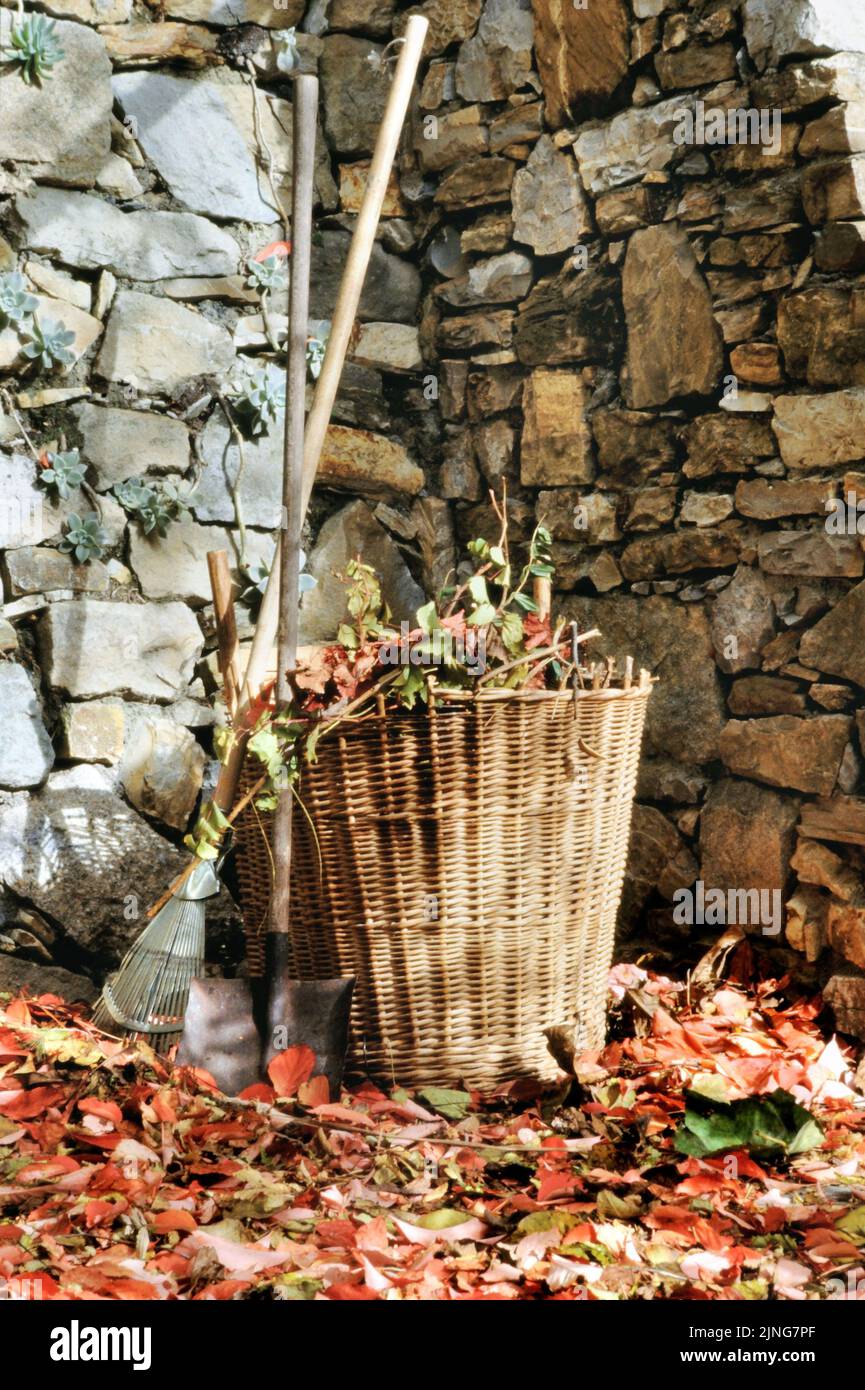Dead leaves, autumn cleaning Stock Photo - Alamy