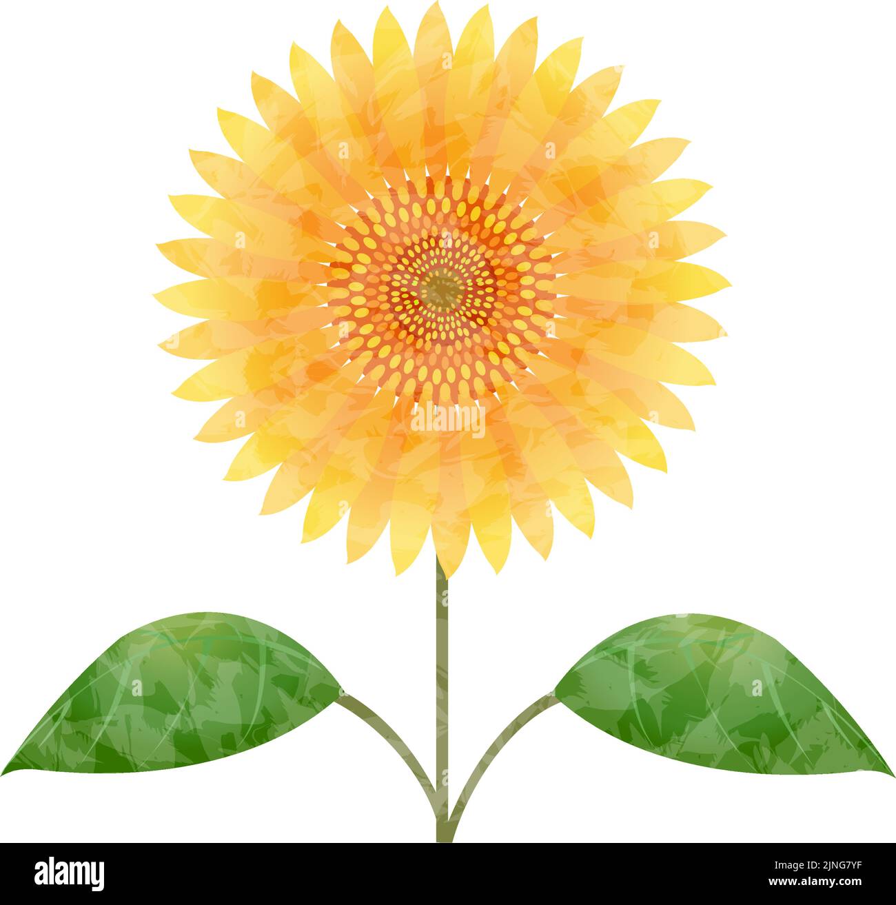 Illustration of a large sunflower Stock Vector Image & Art - Alamy