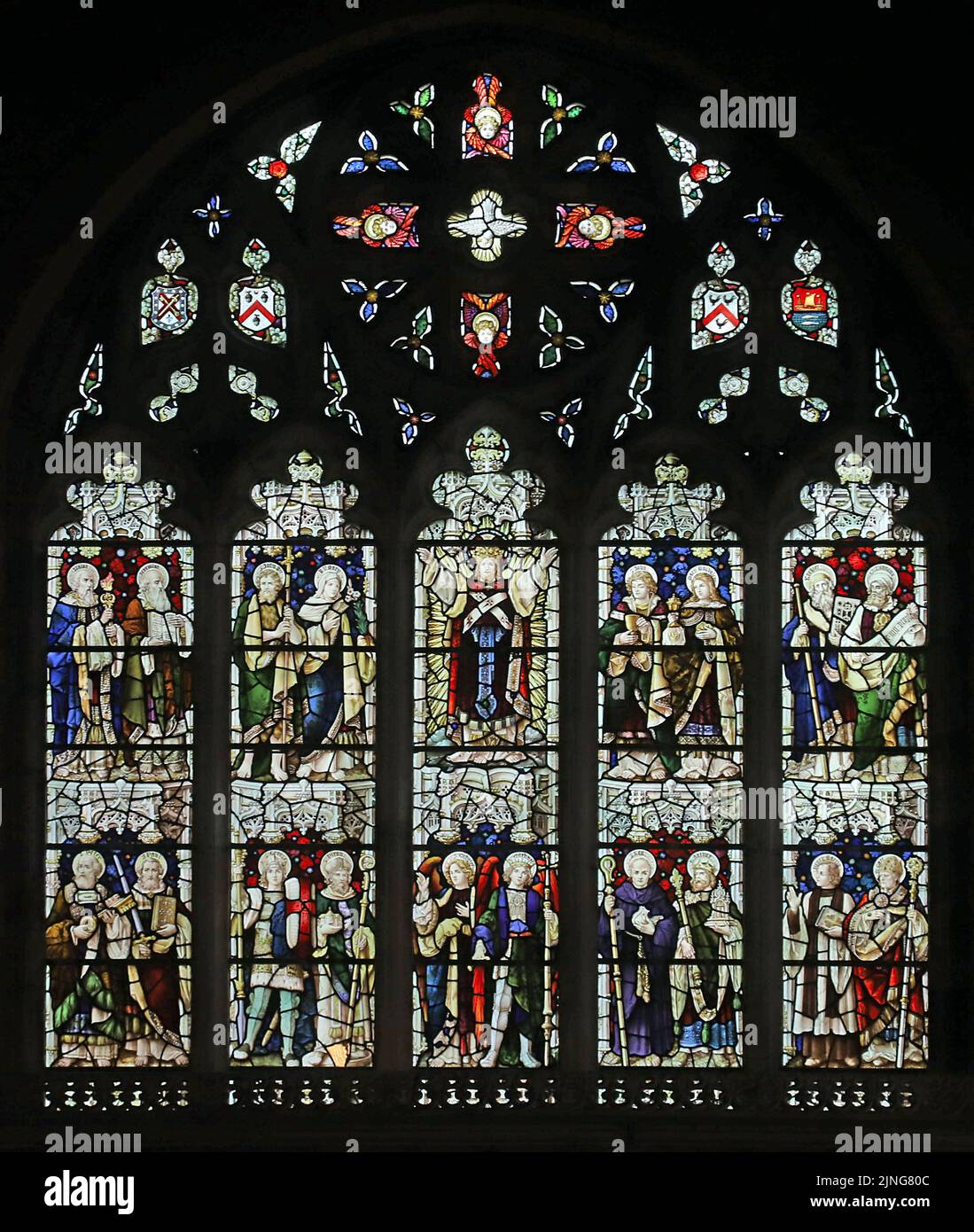 Kea symbol hi-res stock photography and images - Alamy