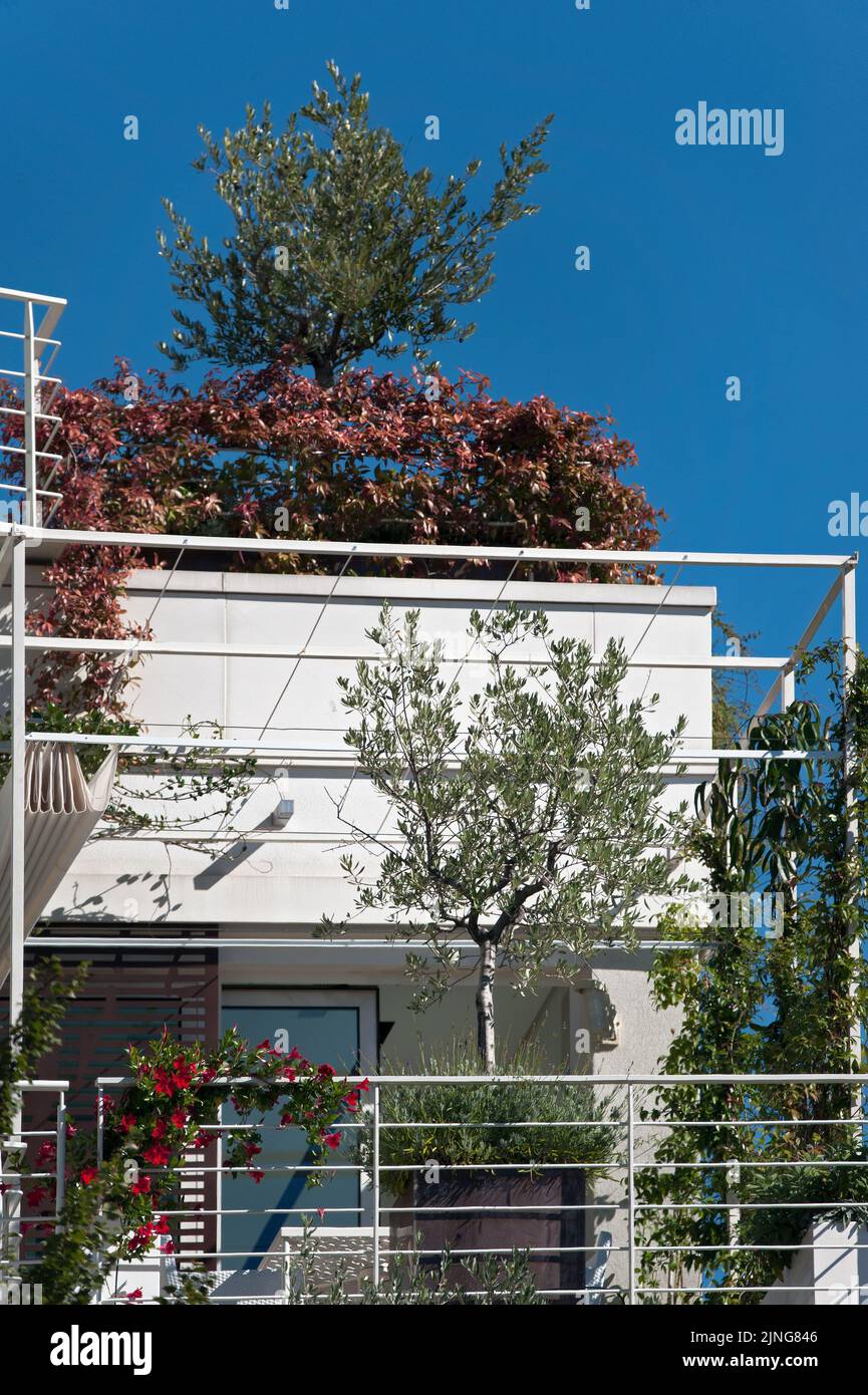 Bio-sustainable architecture, multi-level apartment with terraces Stock ... Bio-sustainable architecture, multi-level apartment with terraces Stock ...