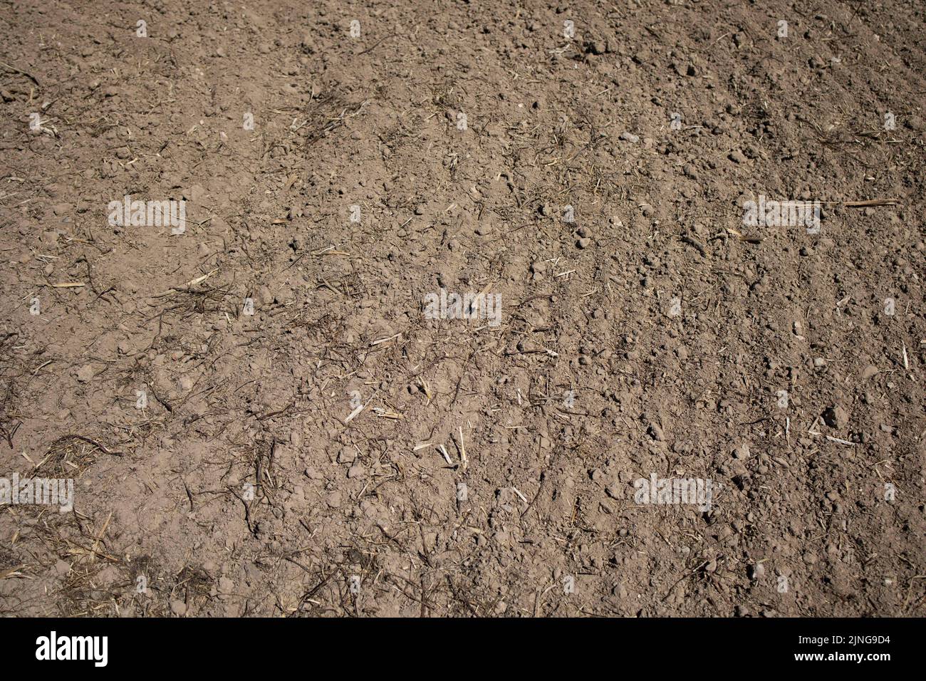 Dry agricultural fields. Illustration of the drought affecting France ...