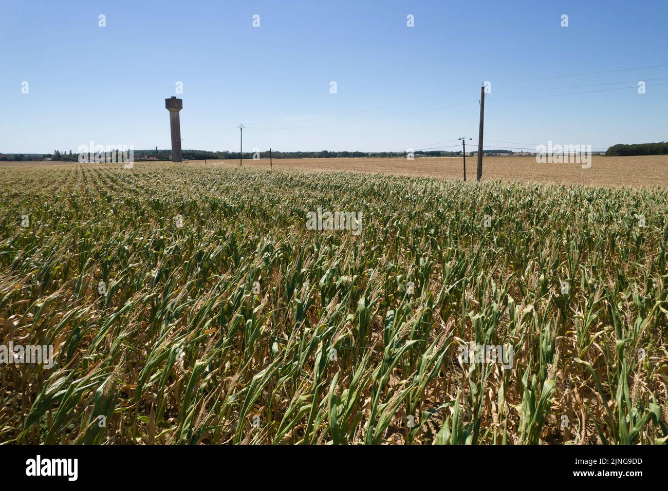 Dry agricultural fields. Illustration of the drought affecting France ...
