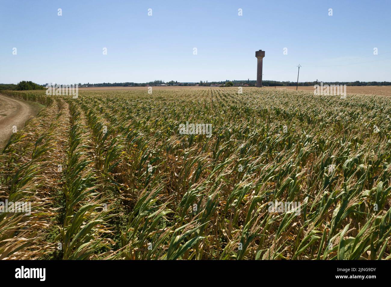 Dry agricultural fields. Illustration of the drought affecting France ...