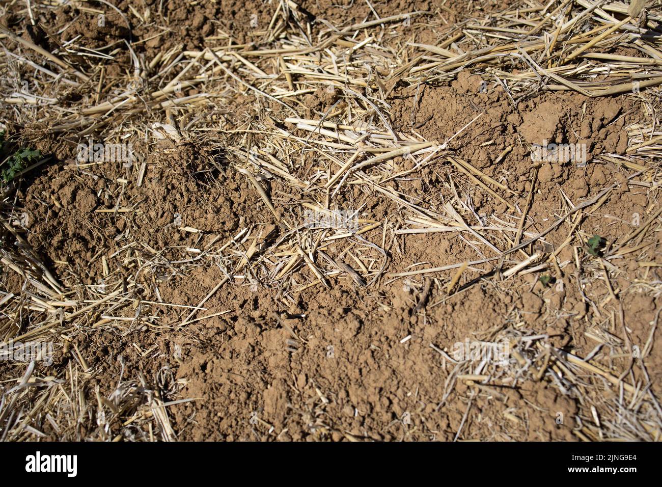 Dry agricultural fields. Illustration of the drought affecting France ...