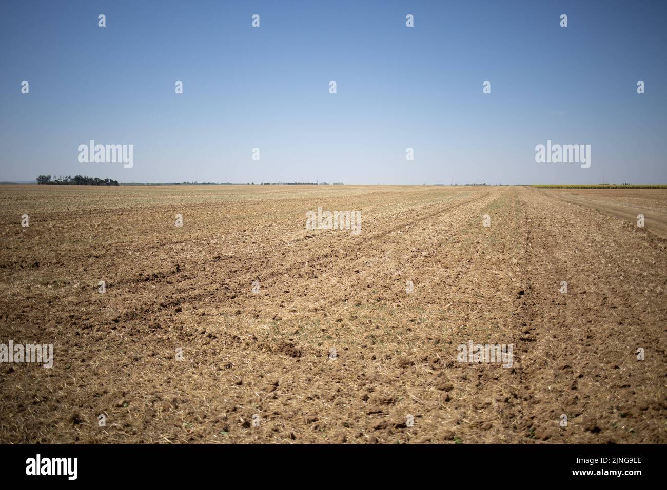 Dry agricultural fields. Illustration of the drought affecting France ...