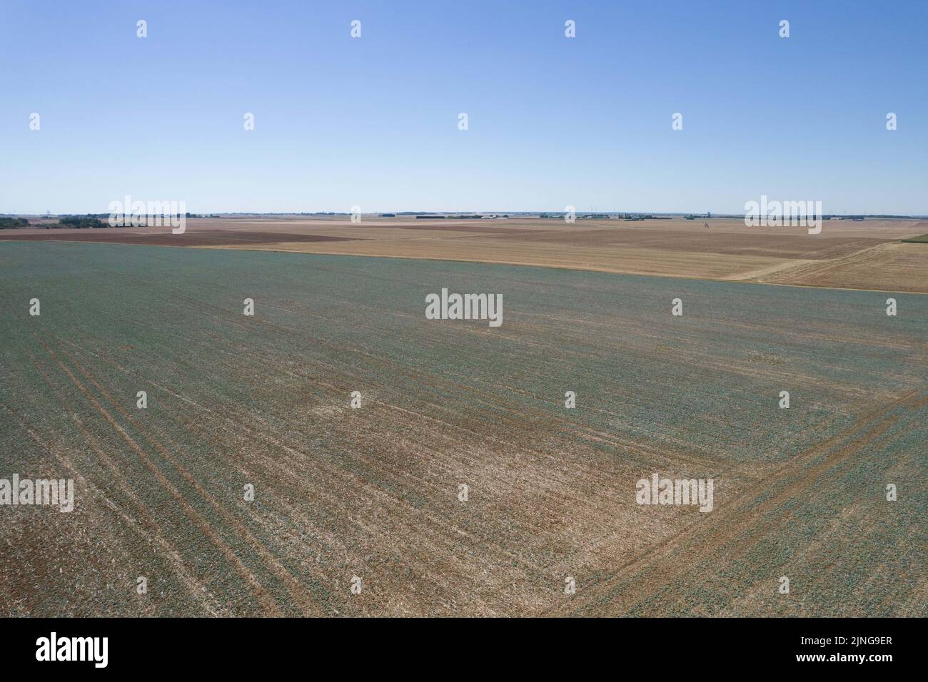 Dry agricultural fields. Illustration of the drought affecting France ...