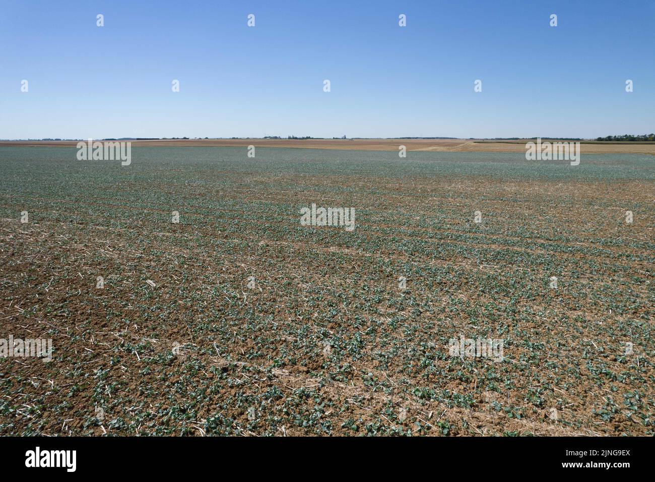 Dry agricultural fields. Illustration of the drought affecting France ...