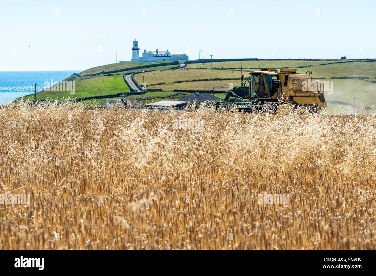 Galley Head, West Cork, Ireland. 11th Aug, 2022. Clonakilty Distillery ...