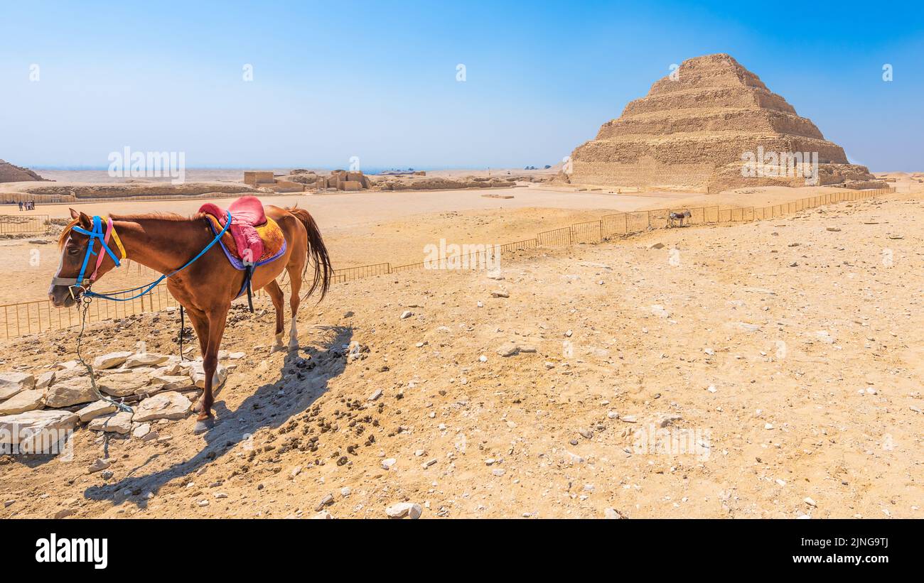 Step pyramid of king djoser hi-res stock photography and images - Alamy