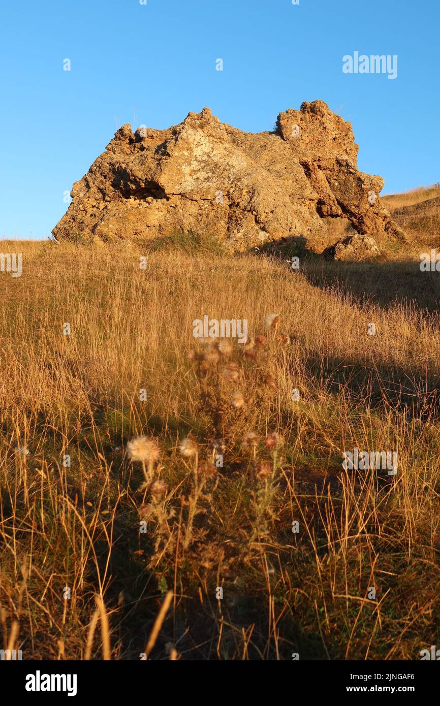 Elephant rock. Bredon Hill. Worcestershire. England. UK Stock Photo - Alamy