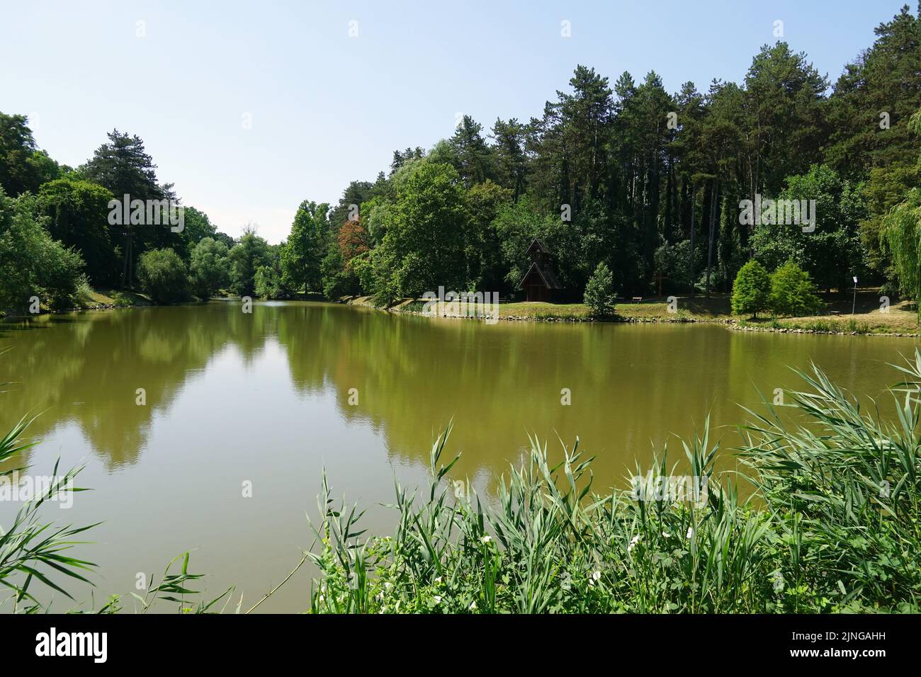 fishpond, Park forest, Tamási, Tolna County, Hungary, Magyarország ...