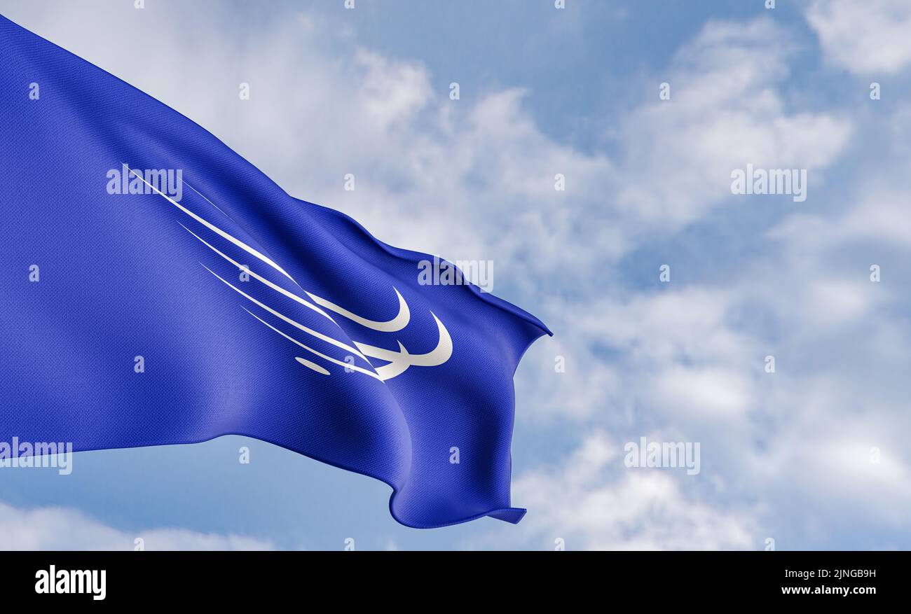 Organization flag Union of South American Nations on the background of ...