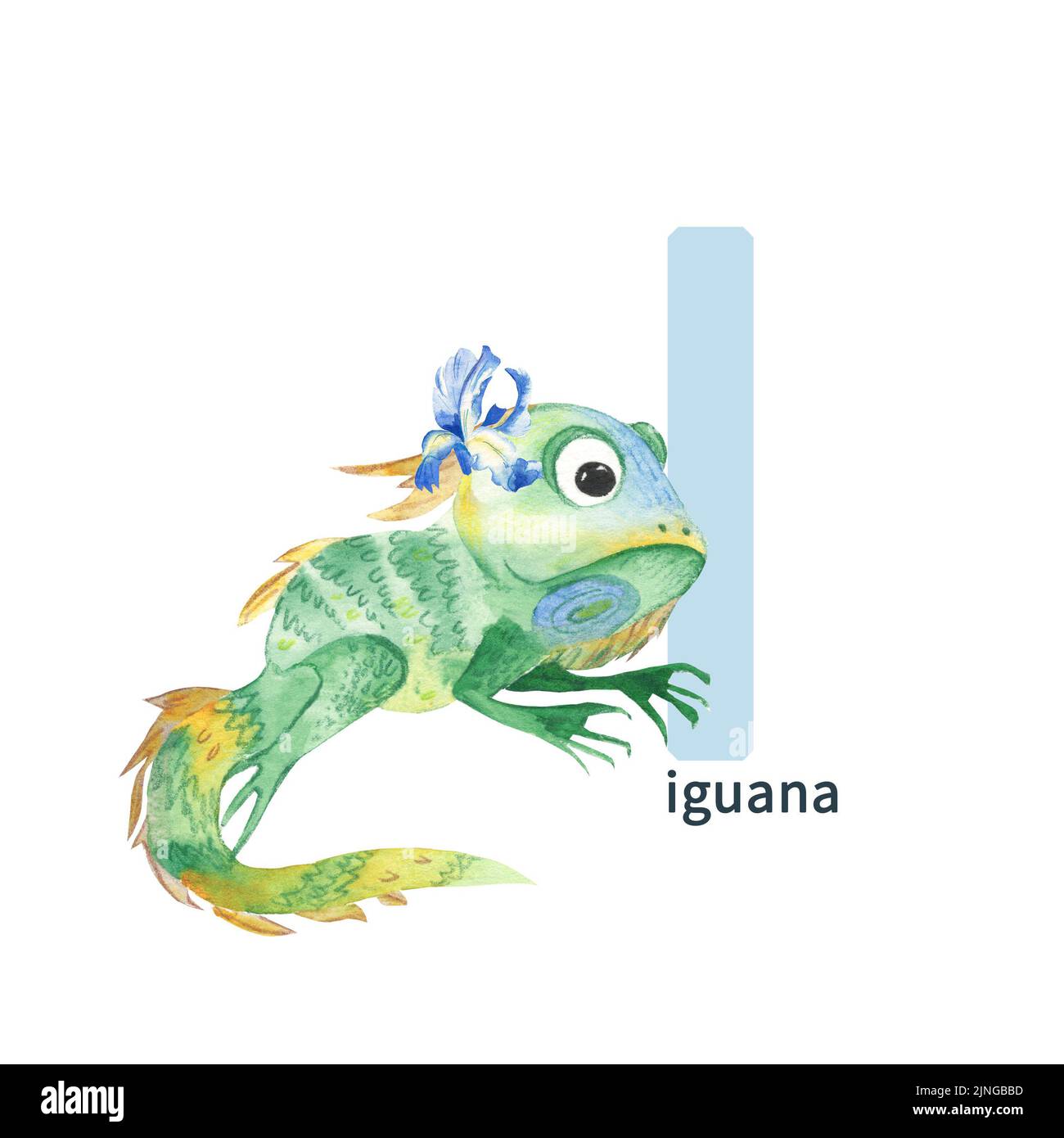 Letter i iguana Cut Out Stock Images & Pictures - Alamy