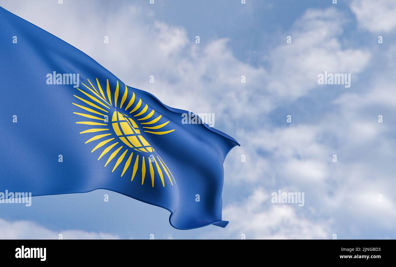 Organization flag Commonwealth of Nations on the background of clouds ...