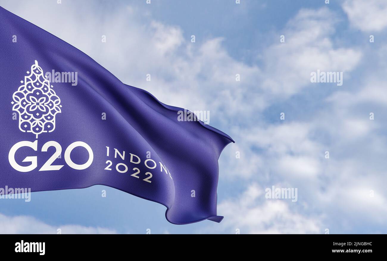Organization flag G20 membership on the background of clouds, fabric ...