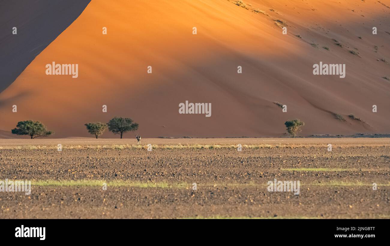 Namibia, the Namib desert, graphic landscape of red dunes Stock Photo ...