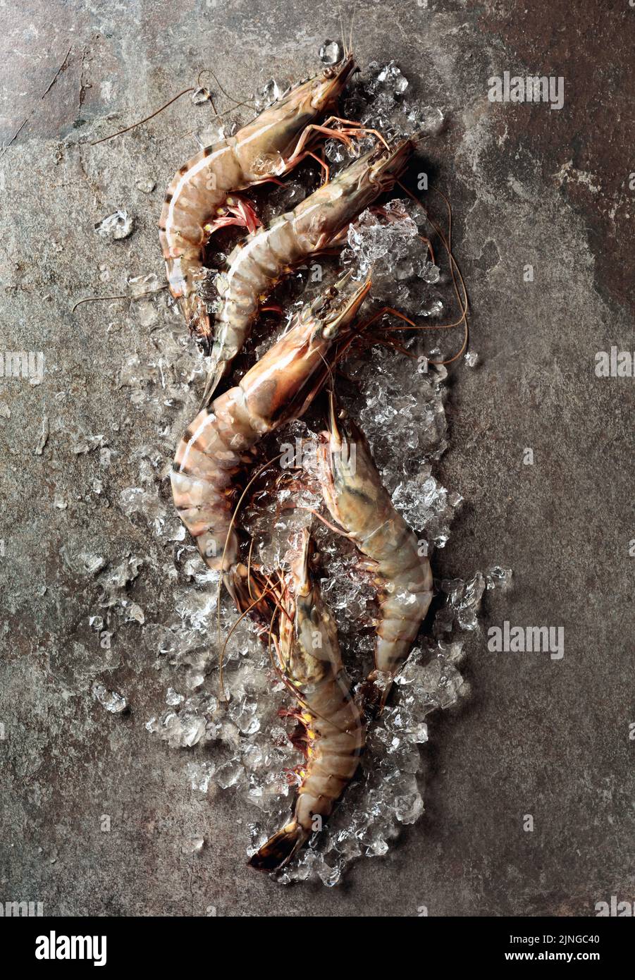 Fresh tiger prawns with crushed ice on rough background, top view with ...