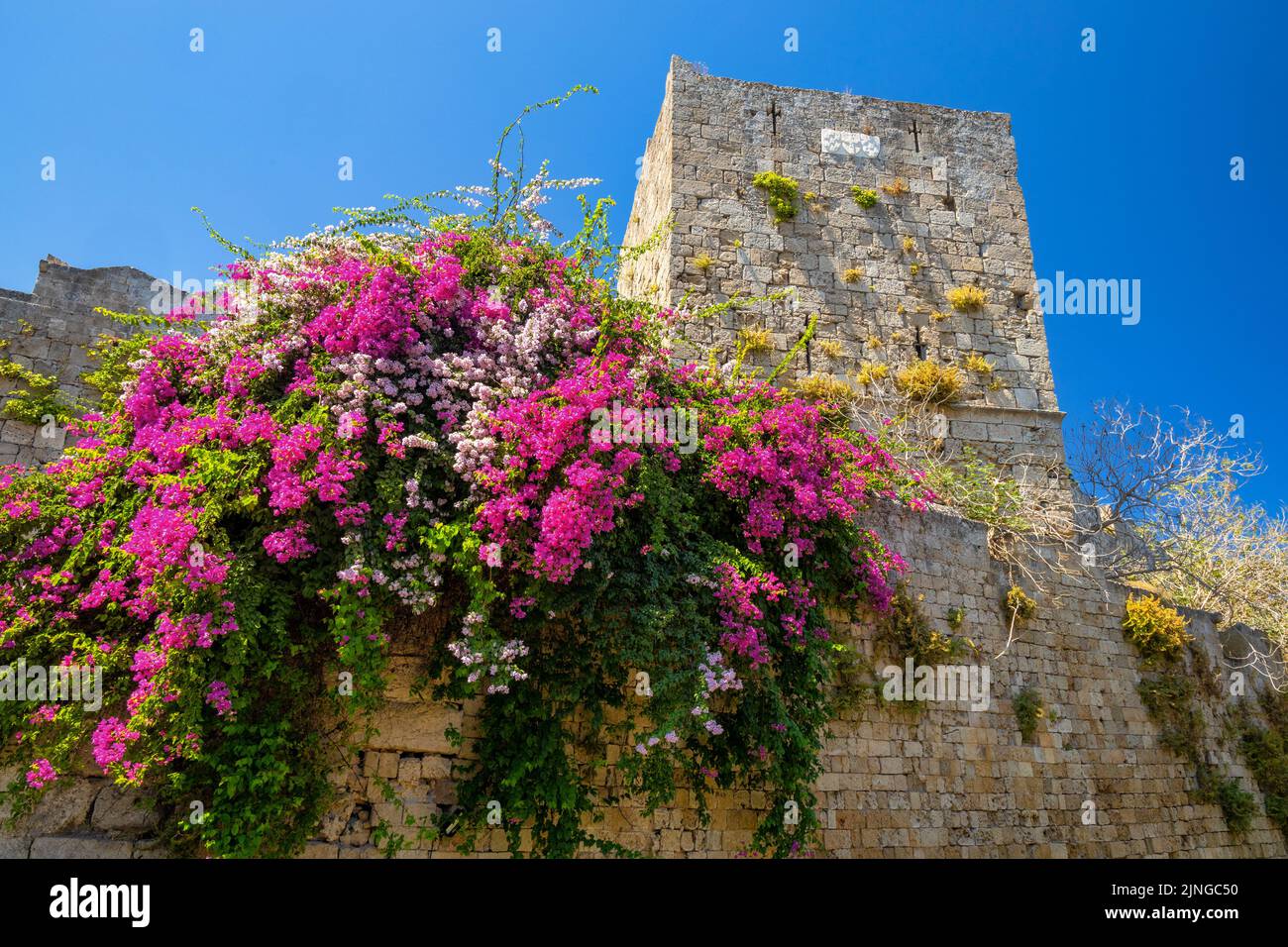 Flowers at the Liberty Gate of city walls in the Rhodes town, Greece ...