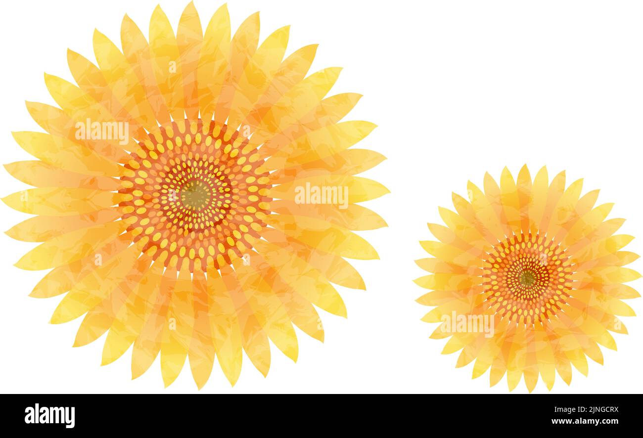 Illustration of a large sunflower Stock Vector Image & Art - Alamy
