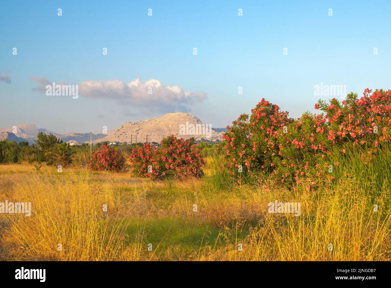 Rhodes greece landscape hi-res stock photography and images - Alamy