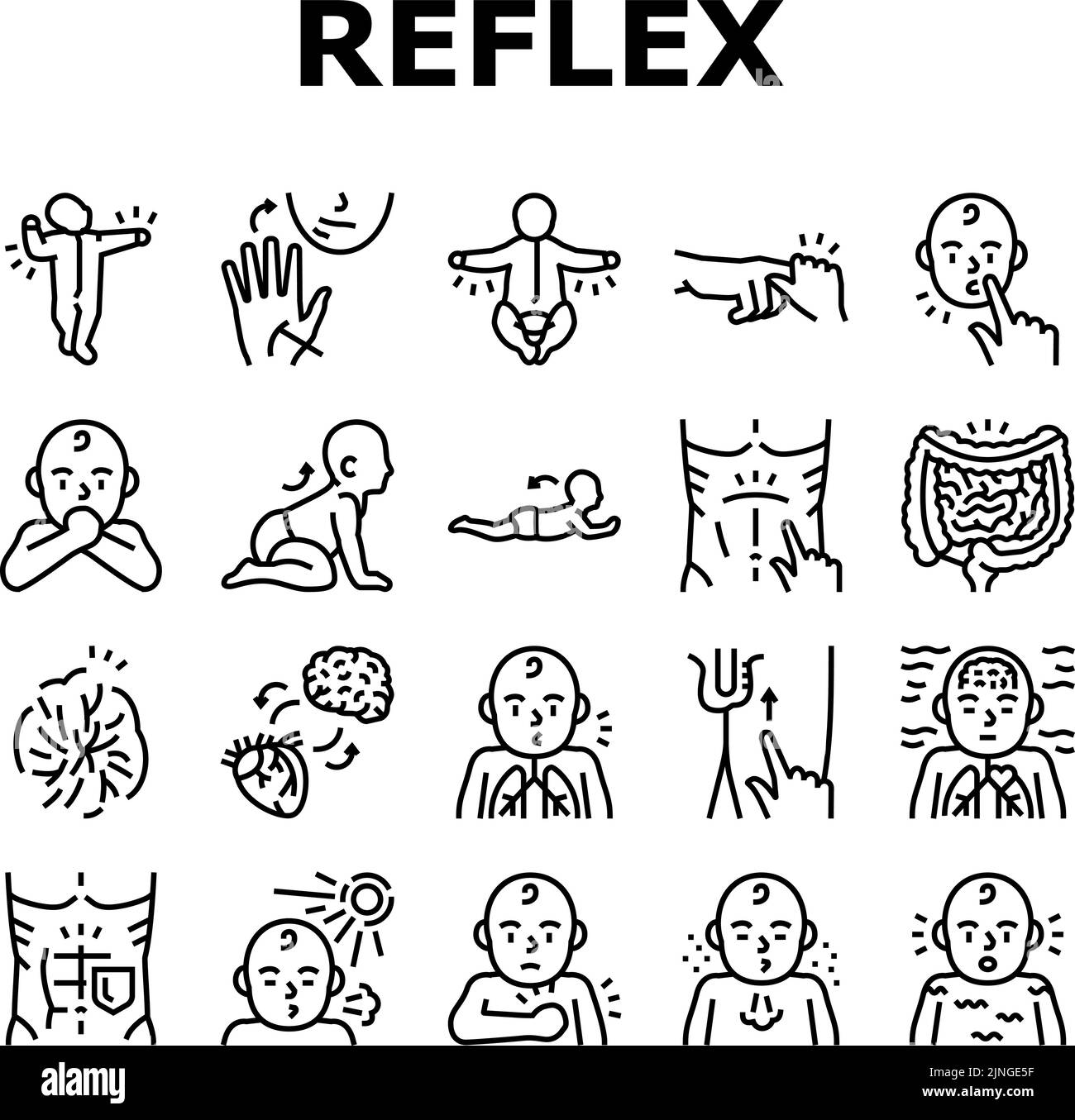 Reflex Of Human Neurology System Icons Set Vector Stock Vector Image ...