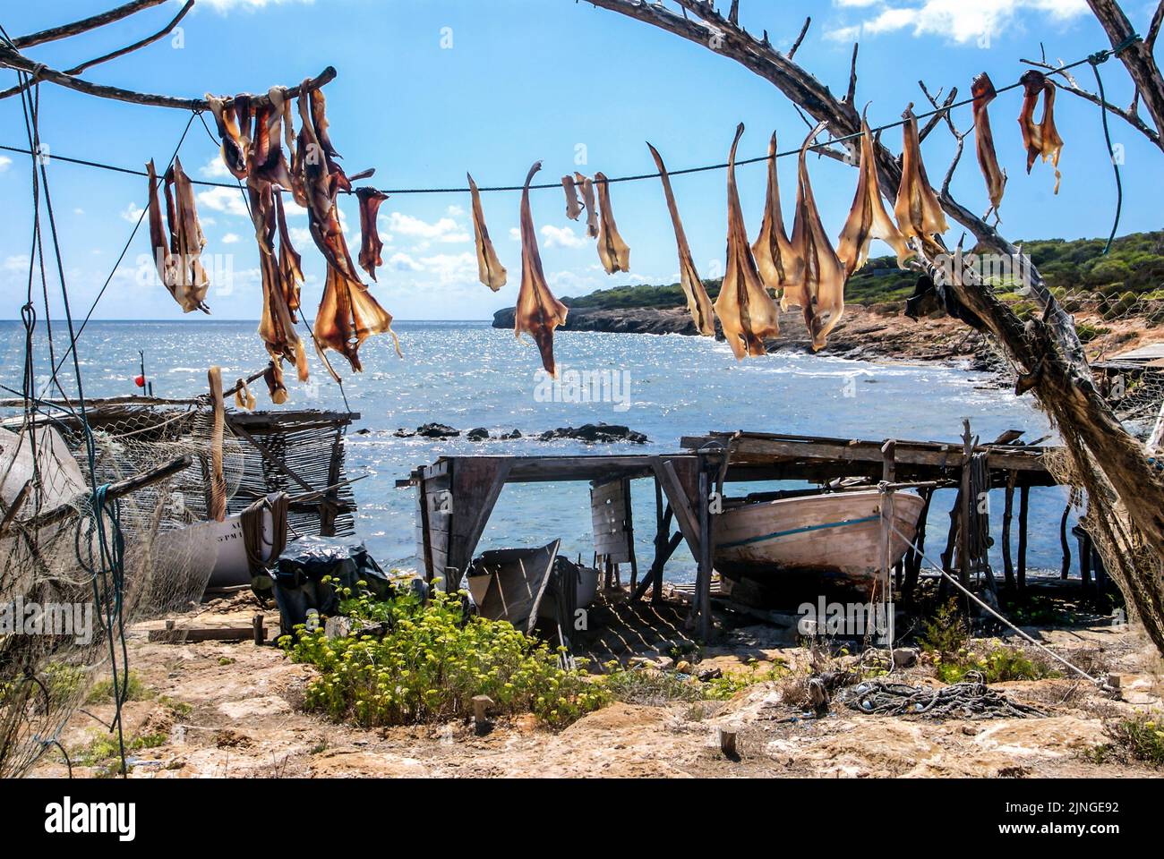 Formentera's dried fish - Peix Sec de Formentera, in Torrent de S•alga ...