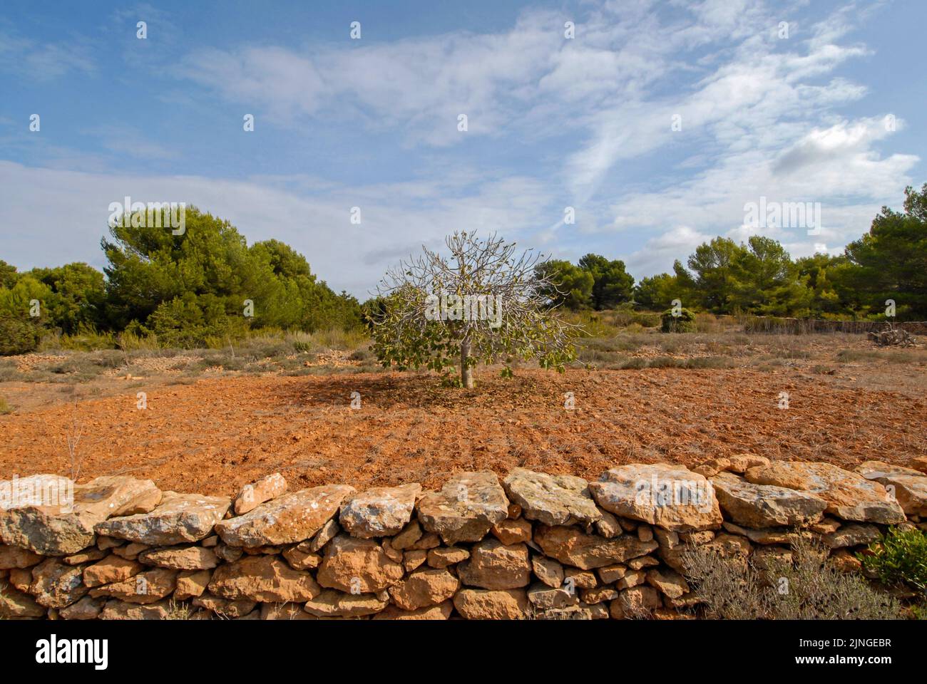 Rural area of Formentera, Spain Stock Photo - Alamy