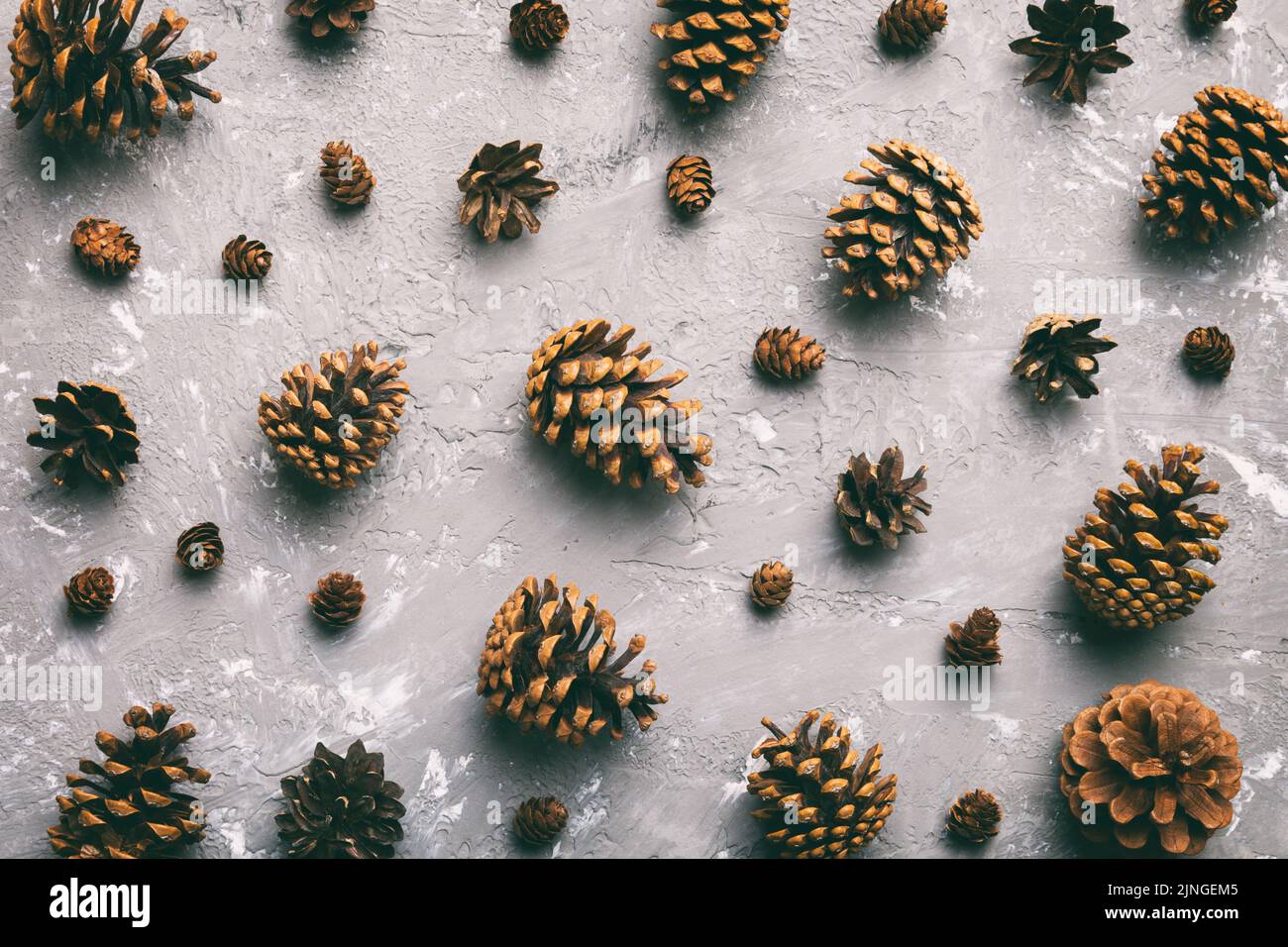 pine cones on colored table. natural holiday background with pinecones ...