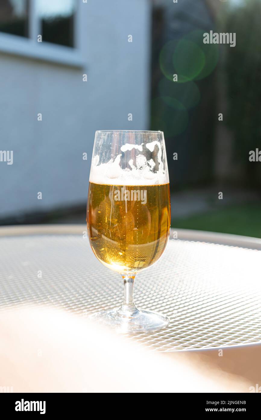 Glass of beer in the summer sun, garden party IPA Lager Stock Photo - Alamy