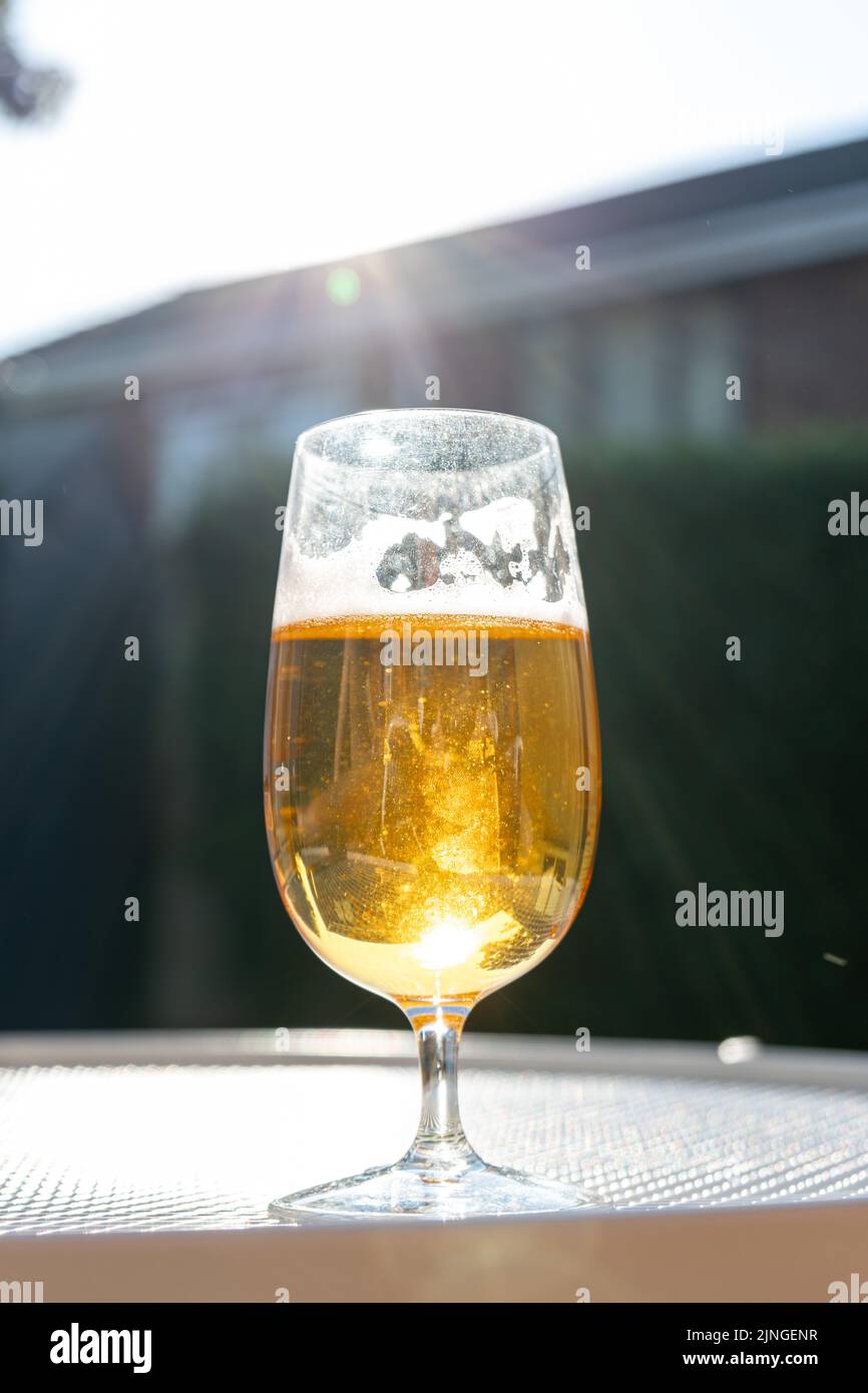Glass of beer in the summer sun, garden party IPA Lager Stock Photo - Alamy
