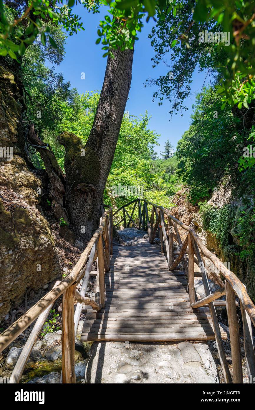 Walking trail in The Valley of Butterflies. The Petaloudes valley ...