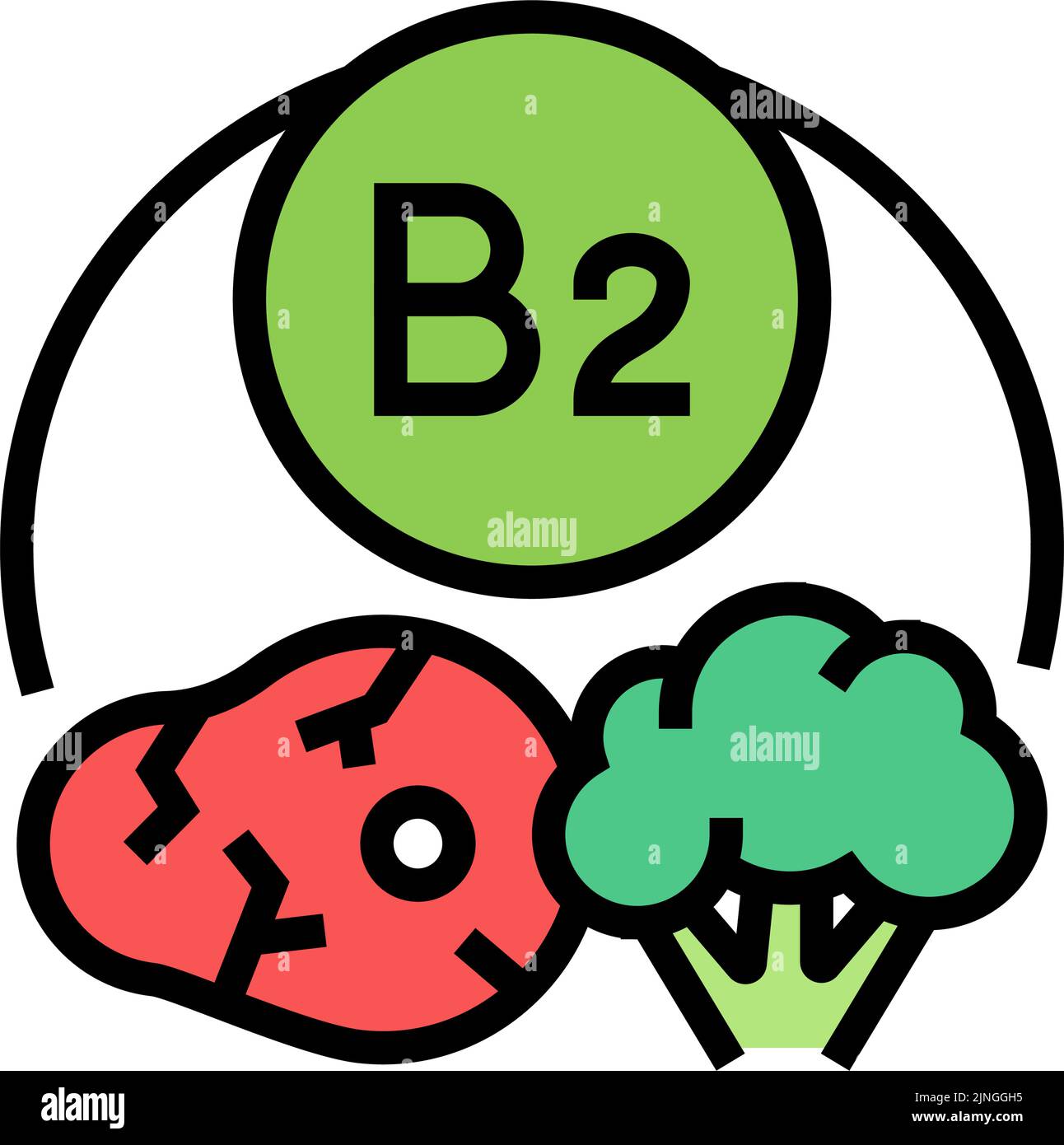 b2 vitamin color icon vector illustration Stock Vector Image & Art - Alamy