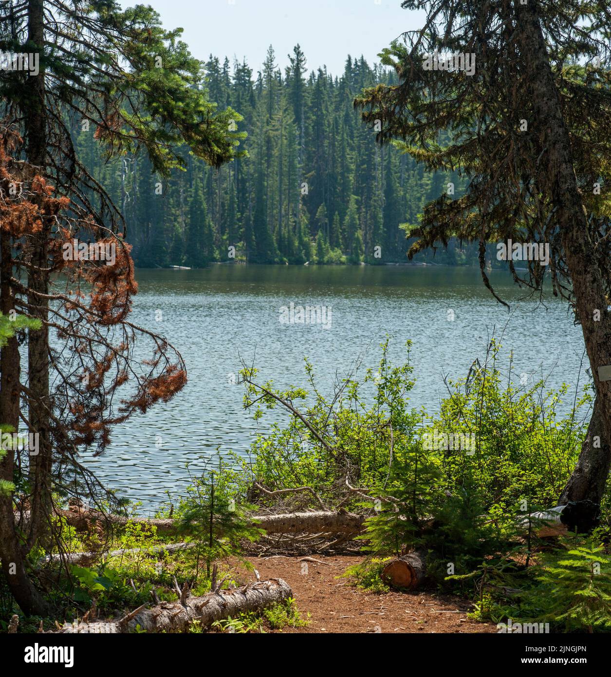 Deer Lake, near the two Cultus Lakes in the Deschutes National Forest ...