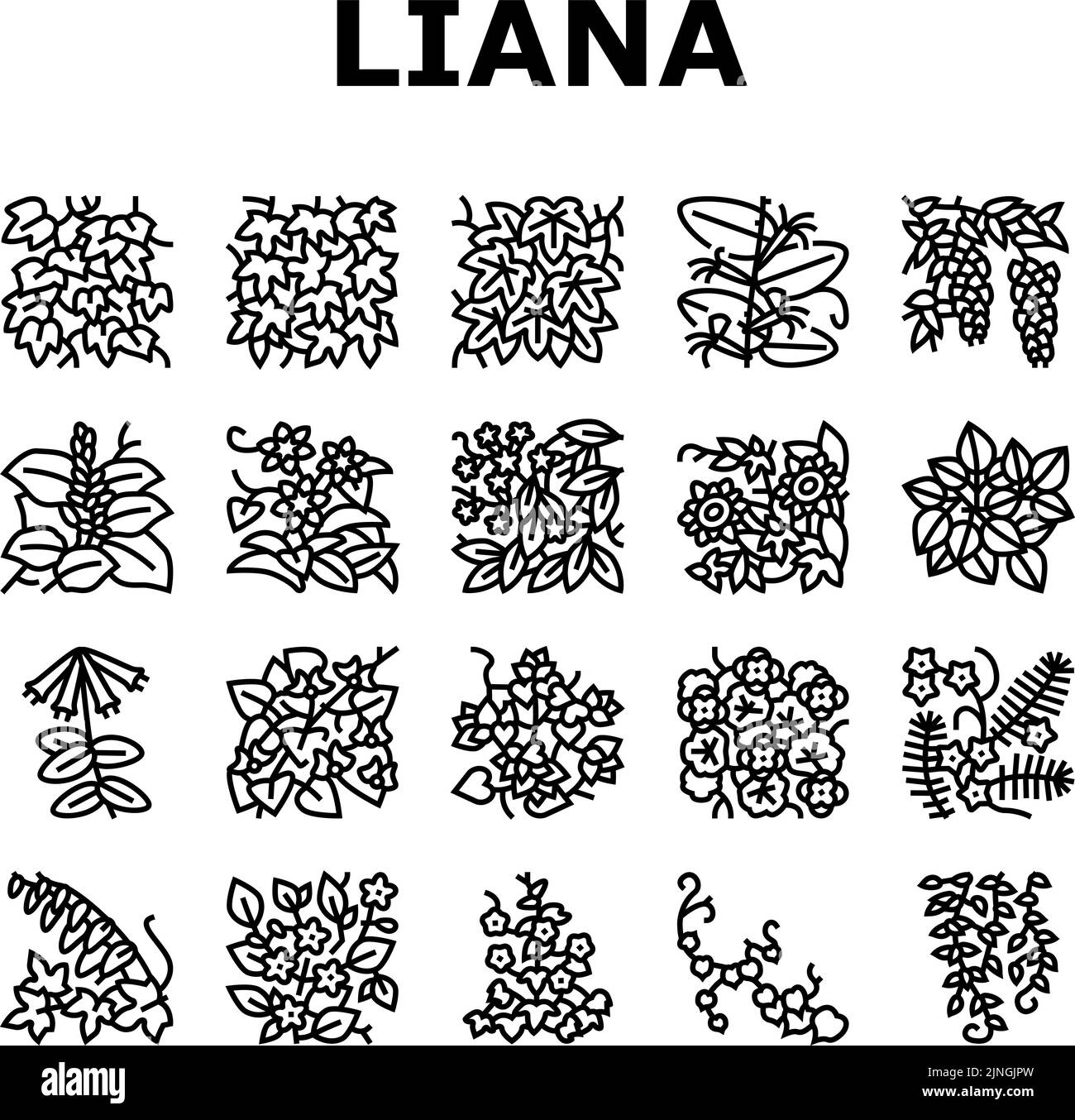 Vine Liana Exotic Growing Plant Icons Set Vector Stock Vector Image ...