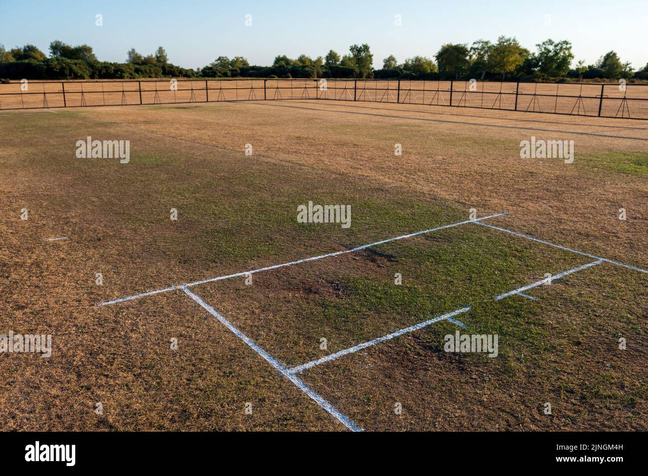 Godshill, New Forest, Hampshire, UK, 11th August 2022, Weather: The ...