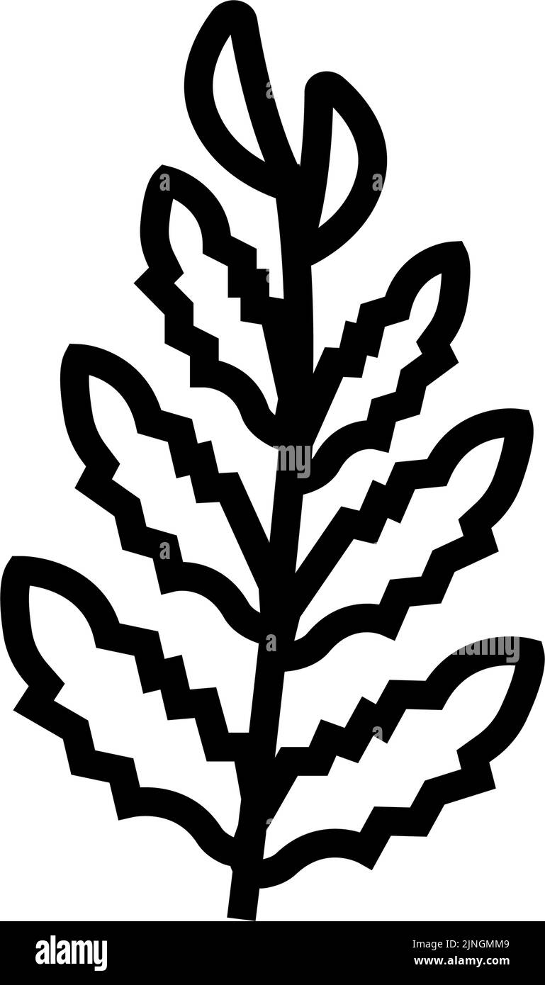 african water fern line icon vector illustration Stock Vector Image ...
