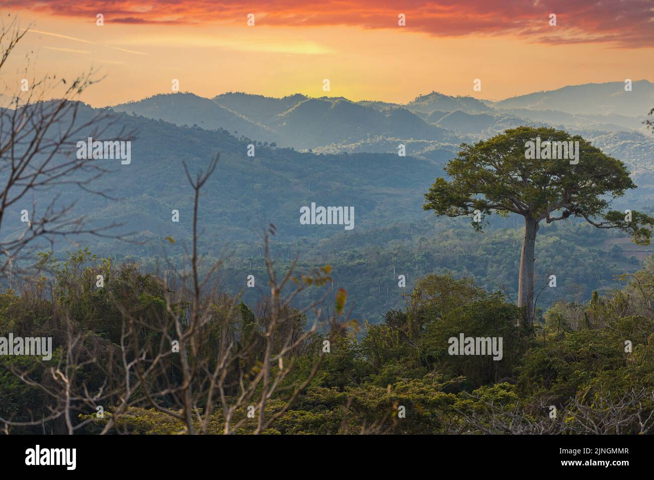 Tropical cuban island hi-res stock photography and images - Alamy