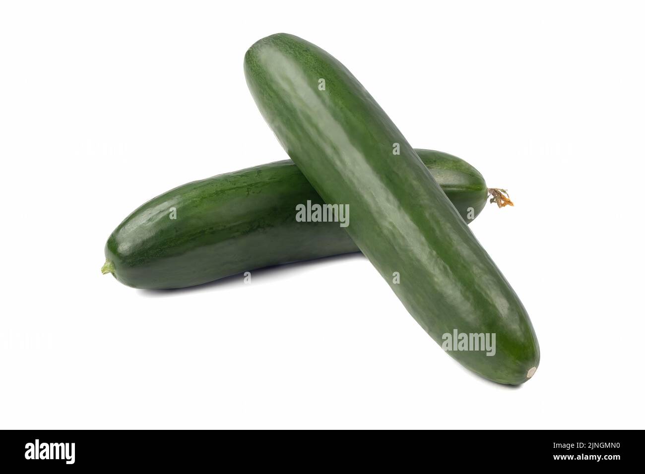 Two cucumbers on a bright background. Close up view Stock Photo - Alamy