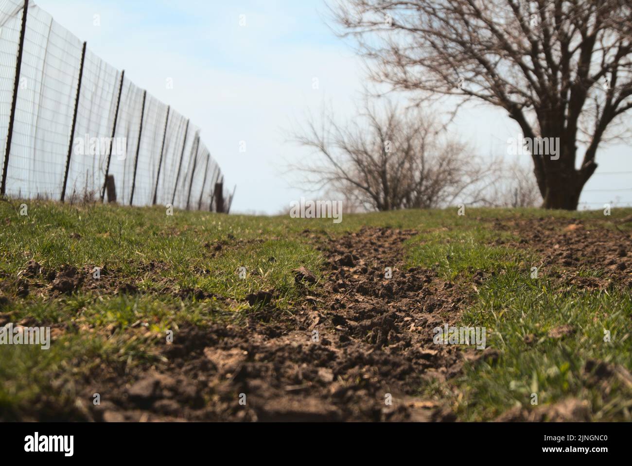 A ground level shot of a damaged grass in a farmland Stock Photo - Alamy