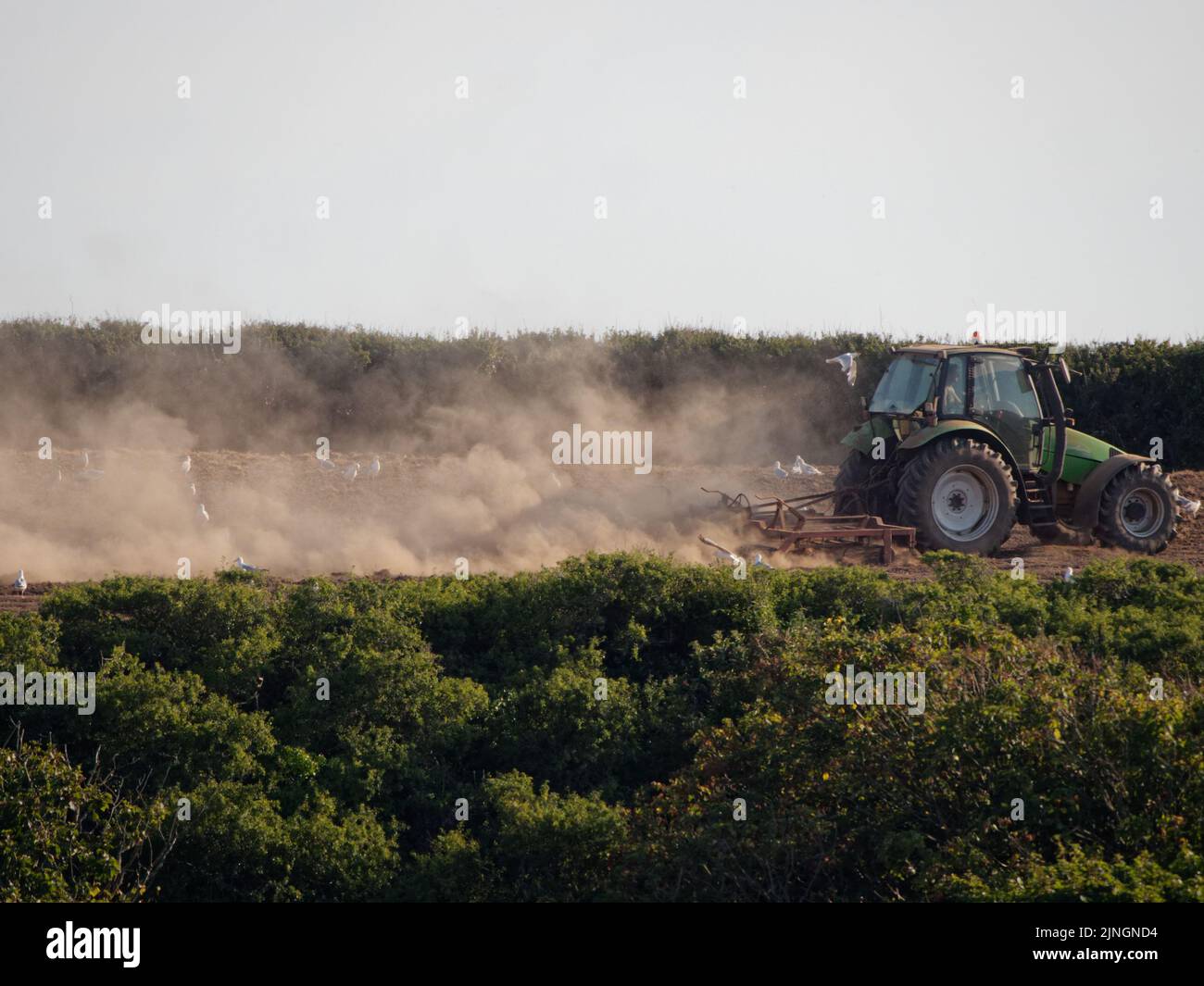 Dust bowl farming uk hi-res stock photography and images - Alamy