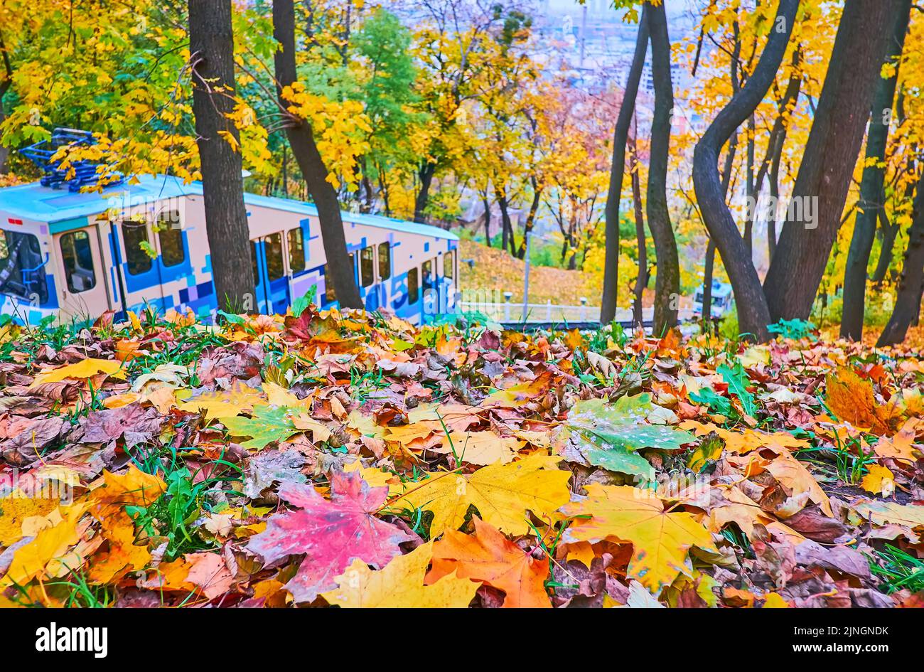 The scenic hill slope, covered with autumn maple foliage with a view on ...