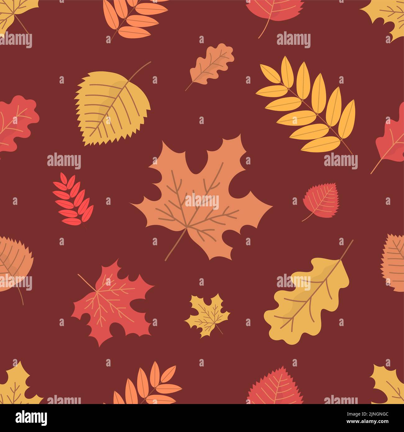 Set of colorful autumn tree leaves pattern. Maple, birch, oak, rowan ...