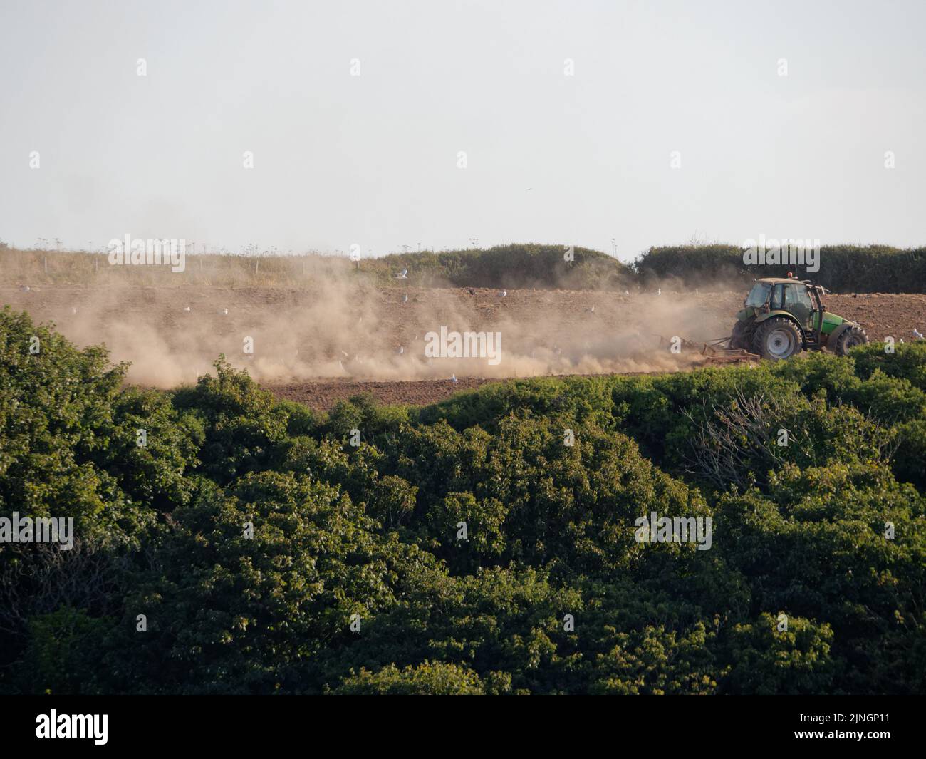 Dust bowl farming uk hi-res stock photography and images - Alamy
