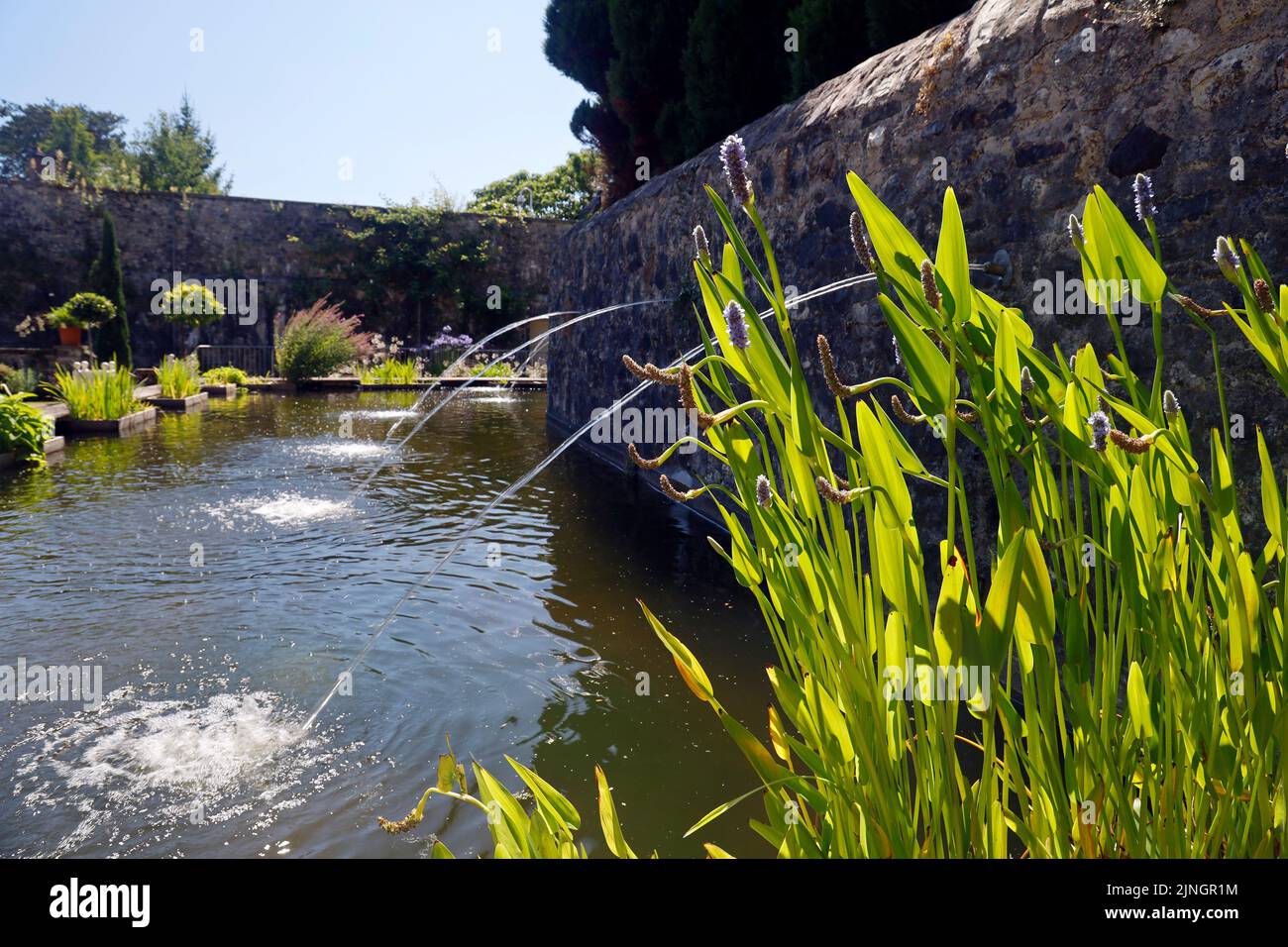 The Italian Garden at St Fagans National Museum of History. Summer 2022 ...